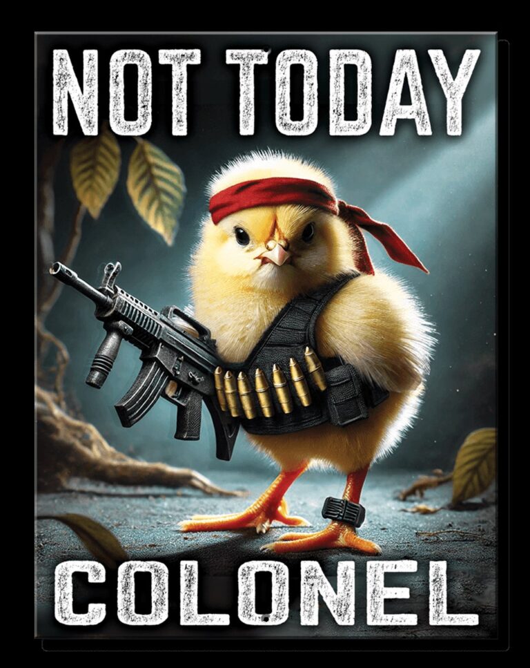 8 1/4" X 10 3/4" TIN SIGN NOT TODAY COLONEL METAL SIGN NEW - Gettysburg ...